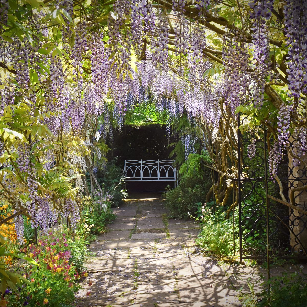 Top 5 Tips when designing a spring garden from award-winning landscape ...